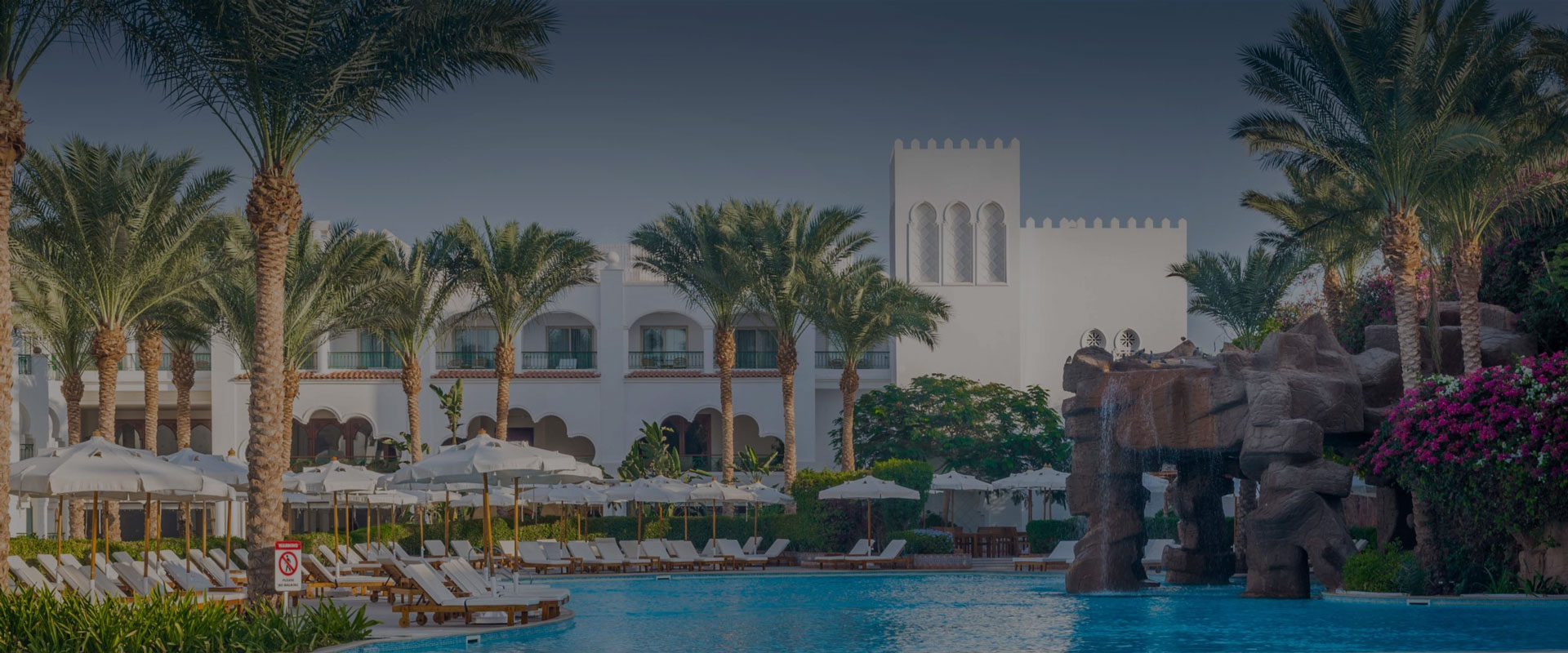 Contact Us | Baron Palms